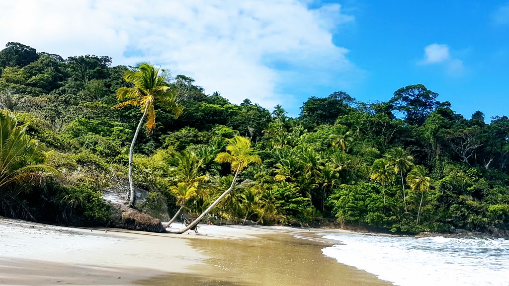 Praia da Engenhoca, um paraíso escondido em Itacaré | Na Janelinha para ...